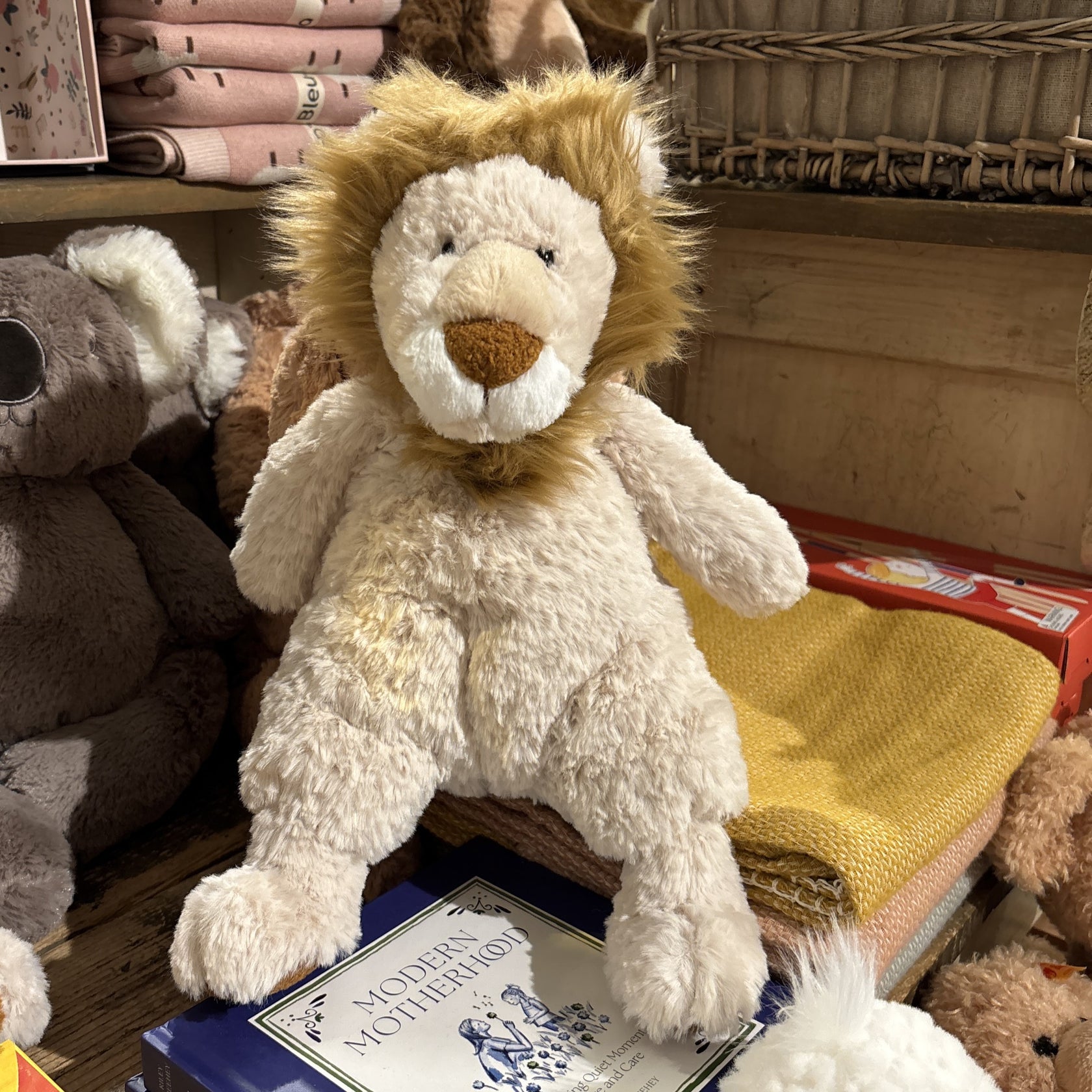 Lion Snuggle Toy – Watson Kennedy