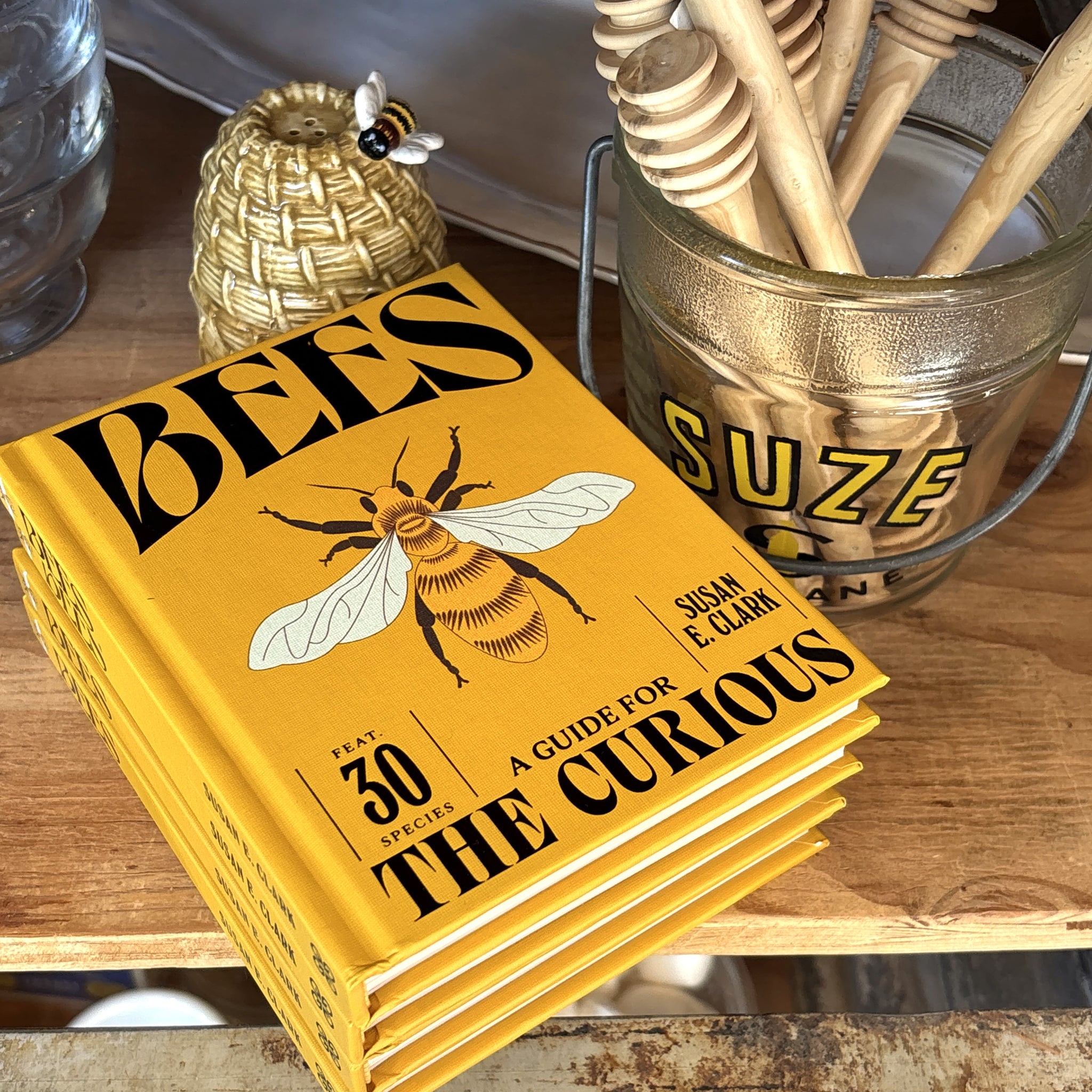 Bees: A Guide for the Curious – Watson Kennedy