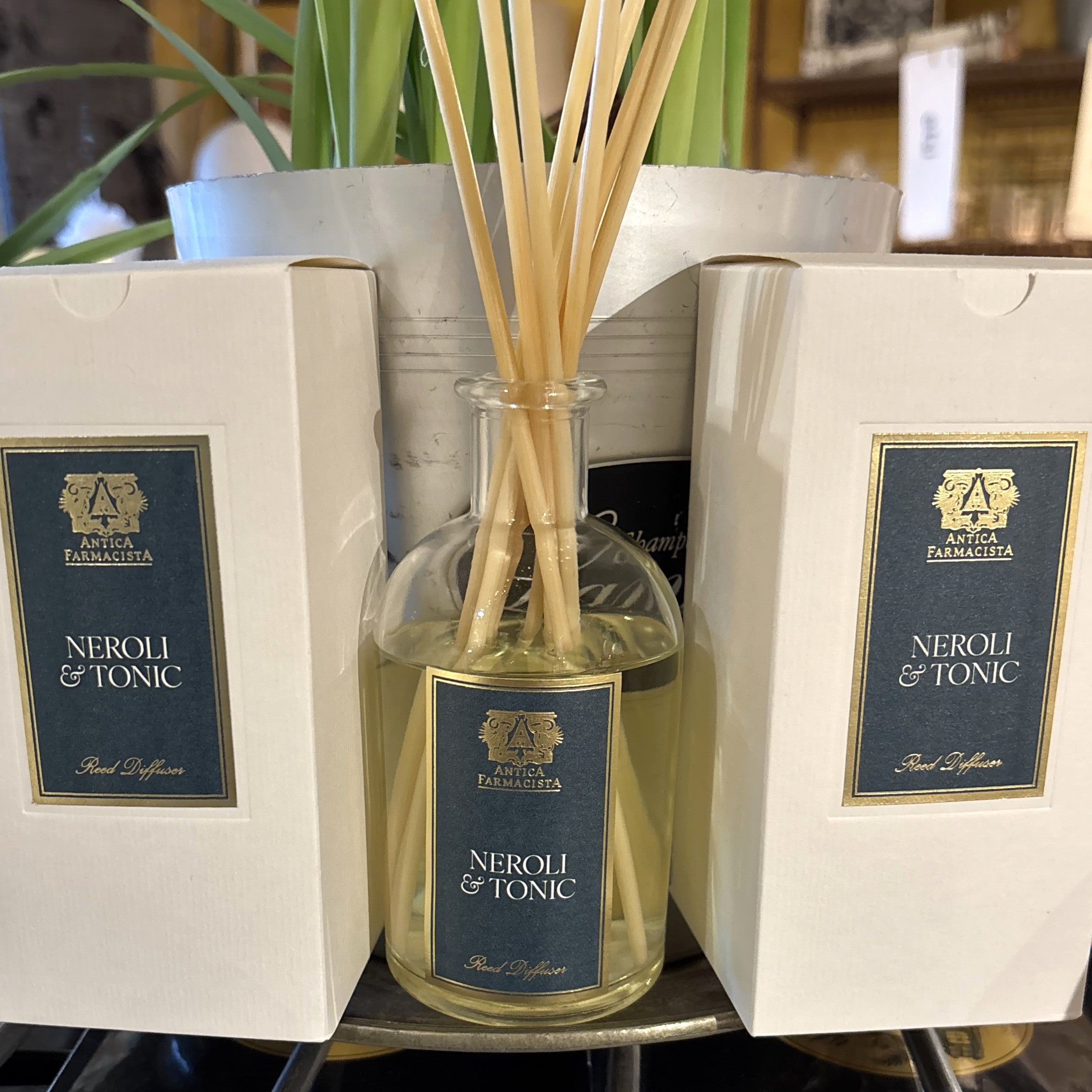 Neroli Tonic Large Diffuser – Watson Kennedy