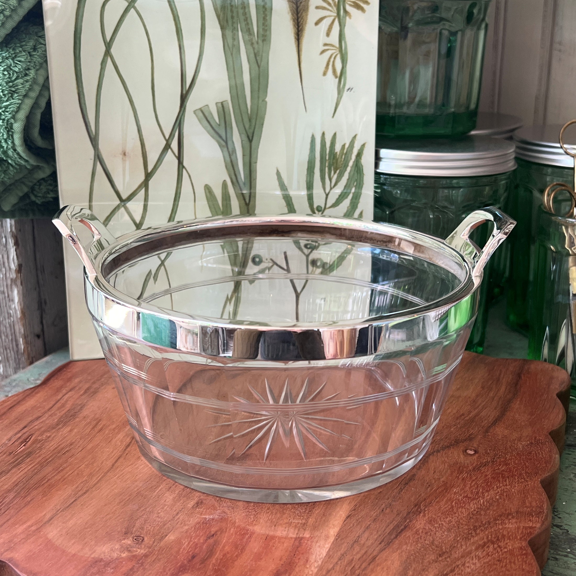 Vintage Hotel Silver Glass Bowl with Tab Handles – Watson Kennedy