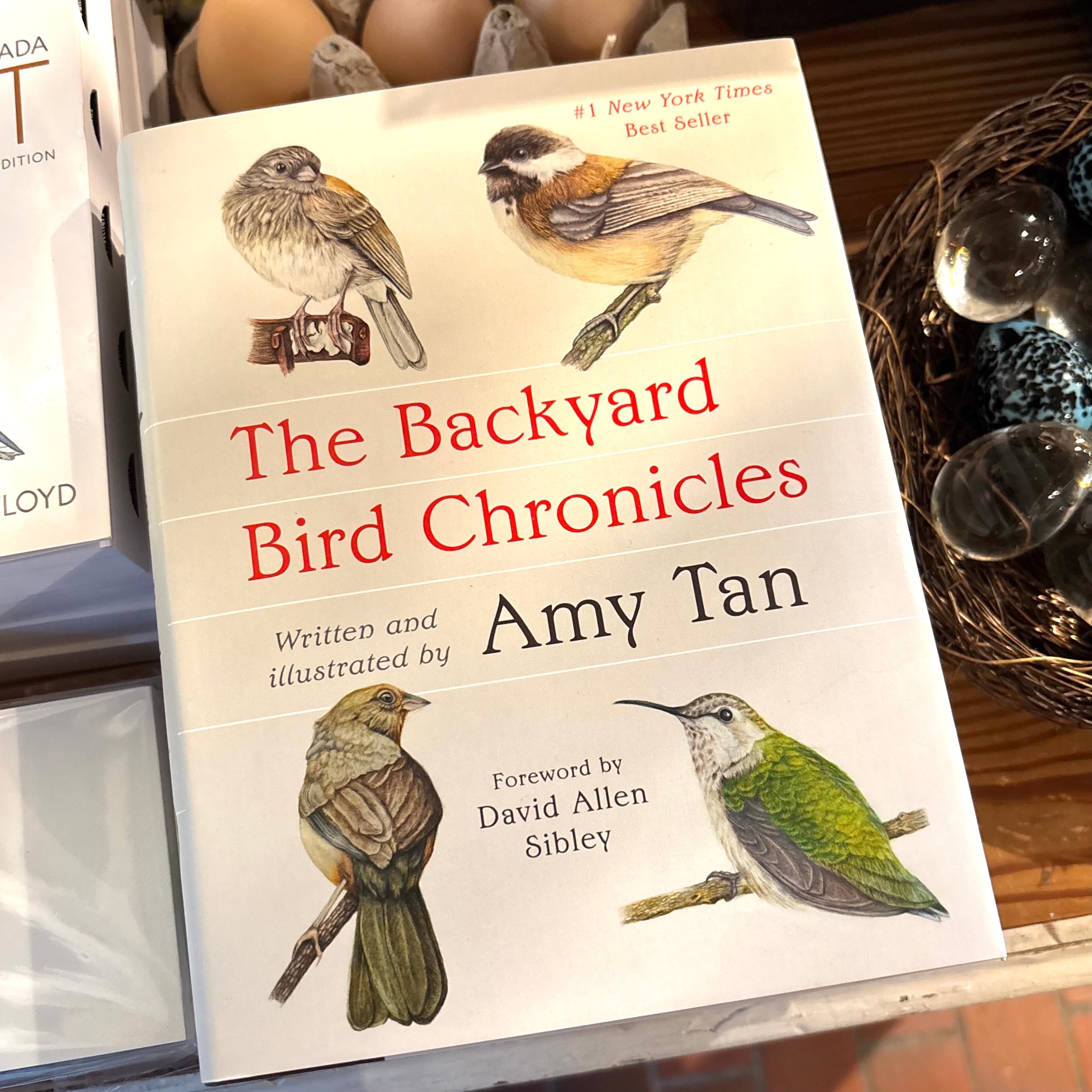 The Backyard Bird Chronicles – Watson Kennedy